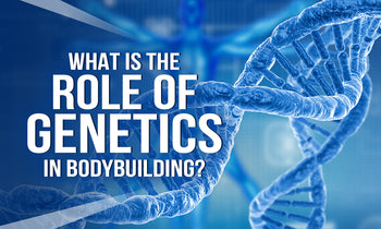 What is the Role of Genetics in Bodybuilding? – Corebolics